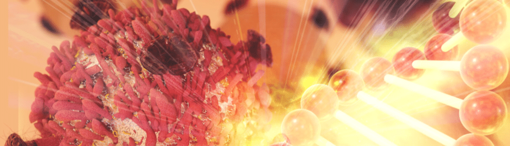 The World’s First Biotech Manufacturing Organization, BMO