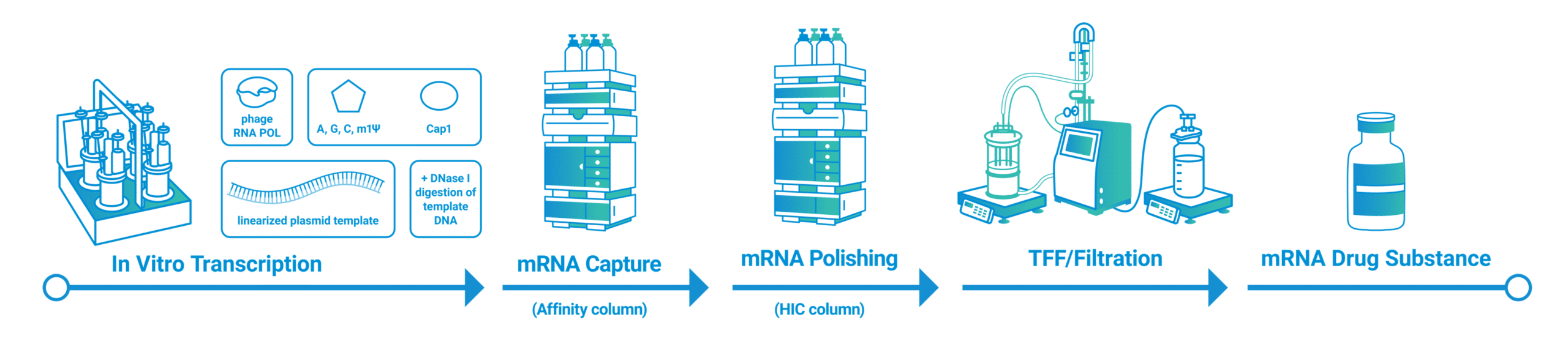 mRNA Production: Challenges and Cutting-Edge Solutions